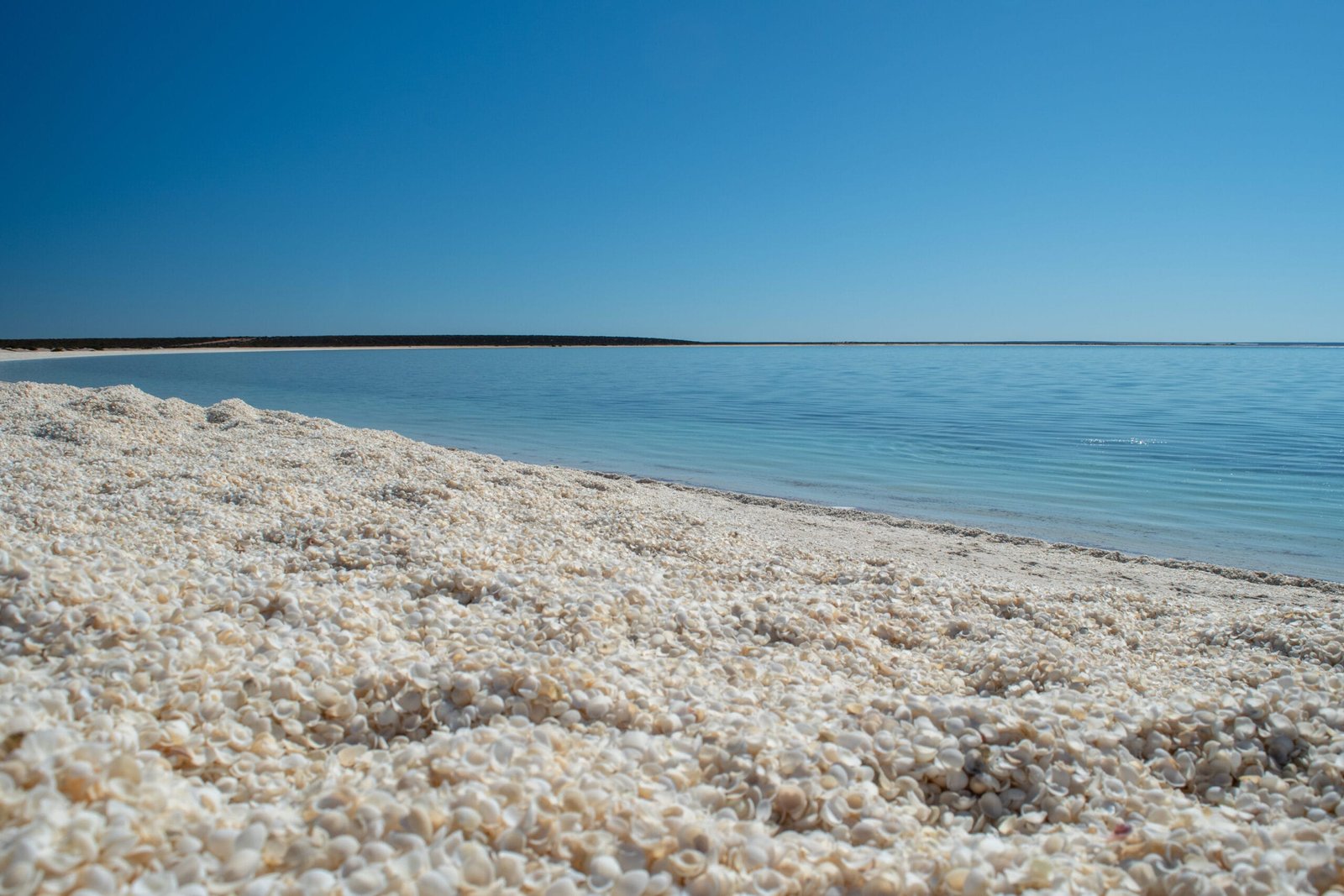Shell Beach, Shark Bay – The Wanderers at Heart